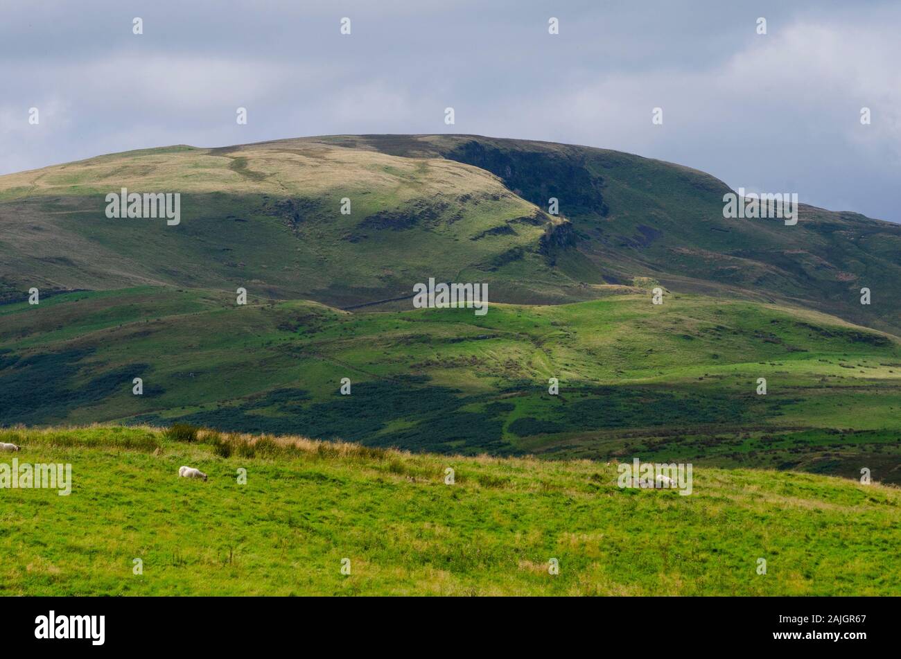 Landscape in the Scottish Lowlands Scotland UK Stock Photo - Alamy