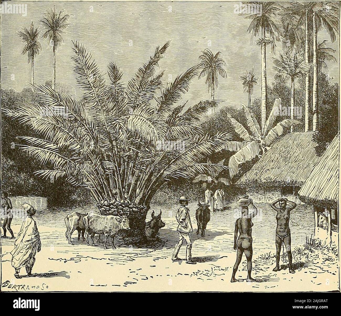 Aryan race hi-res stock photography and images - Alamy