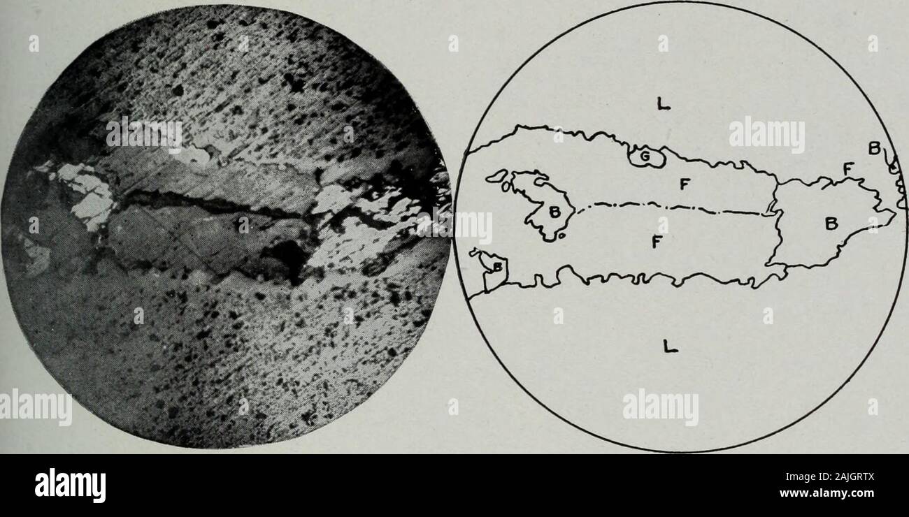 Silicified zone hi-res stock photography and images - Alamy