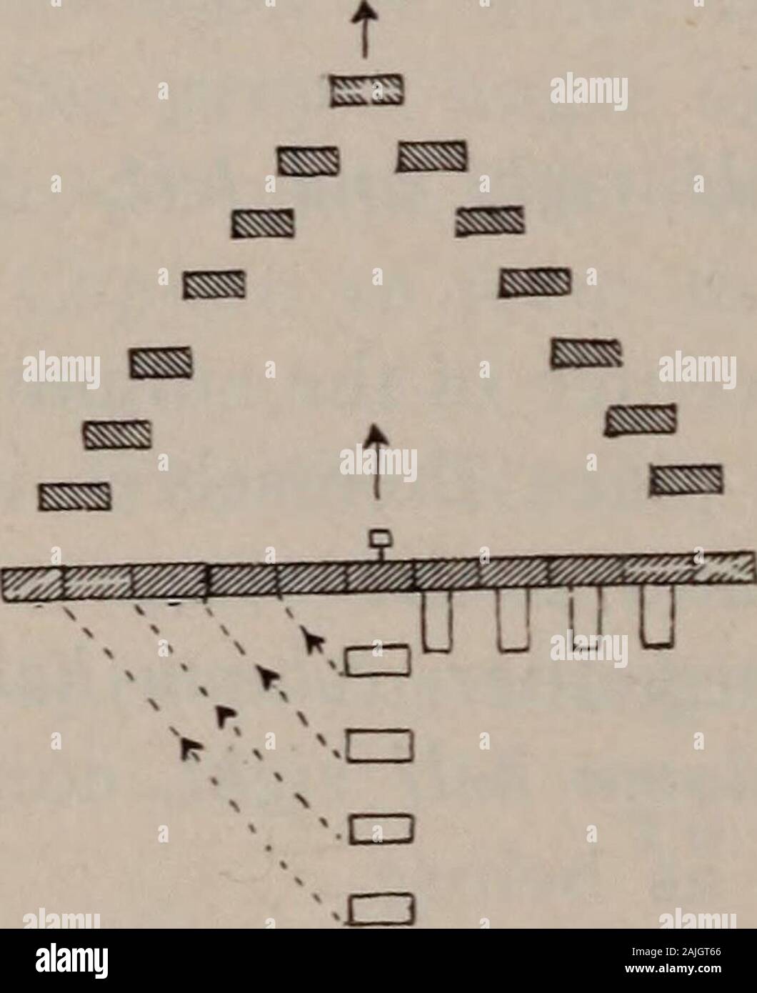 Platoon platoons hi-res stock photography and images - Alamy