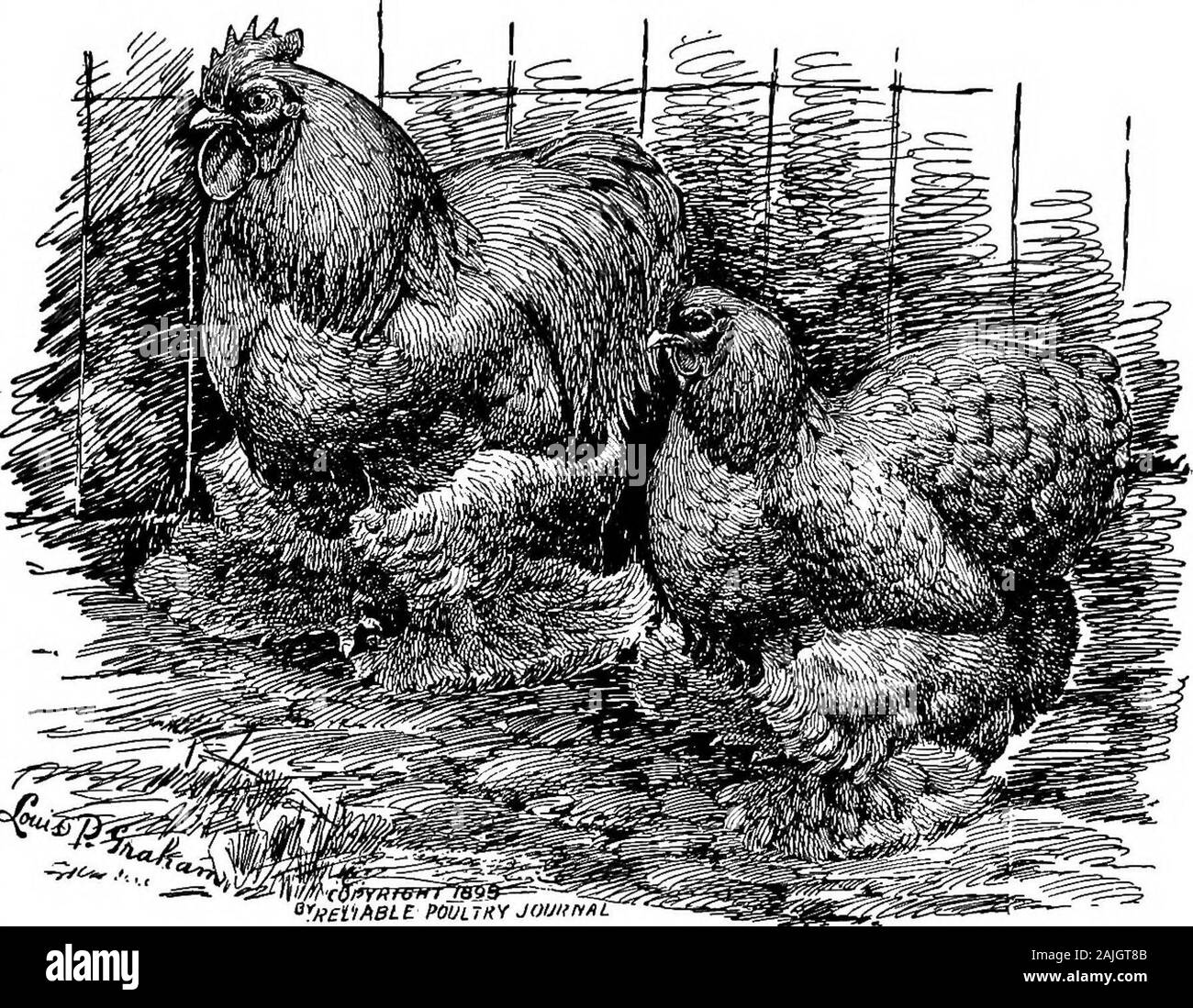 The bantam fowl; a description of all standard breeds and varieties of ...