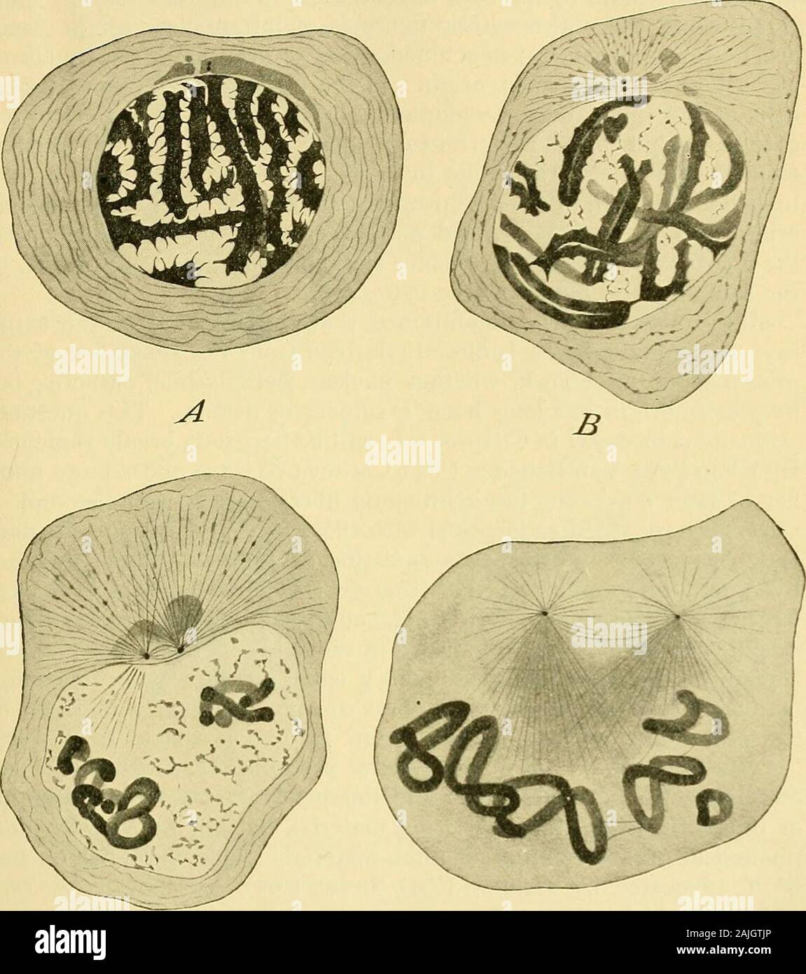 The cell in development and inheritance . there is nobreach in the ...