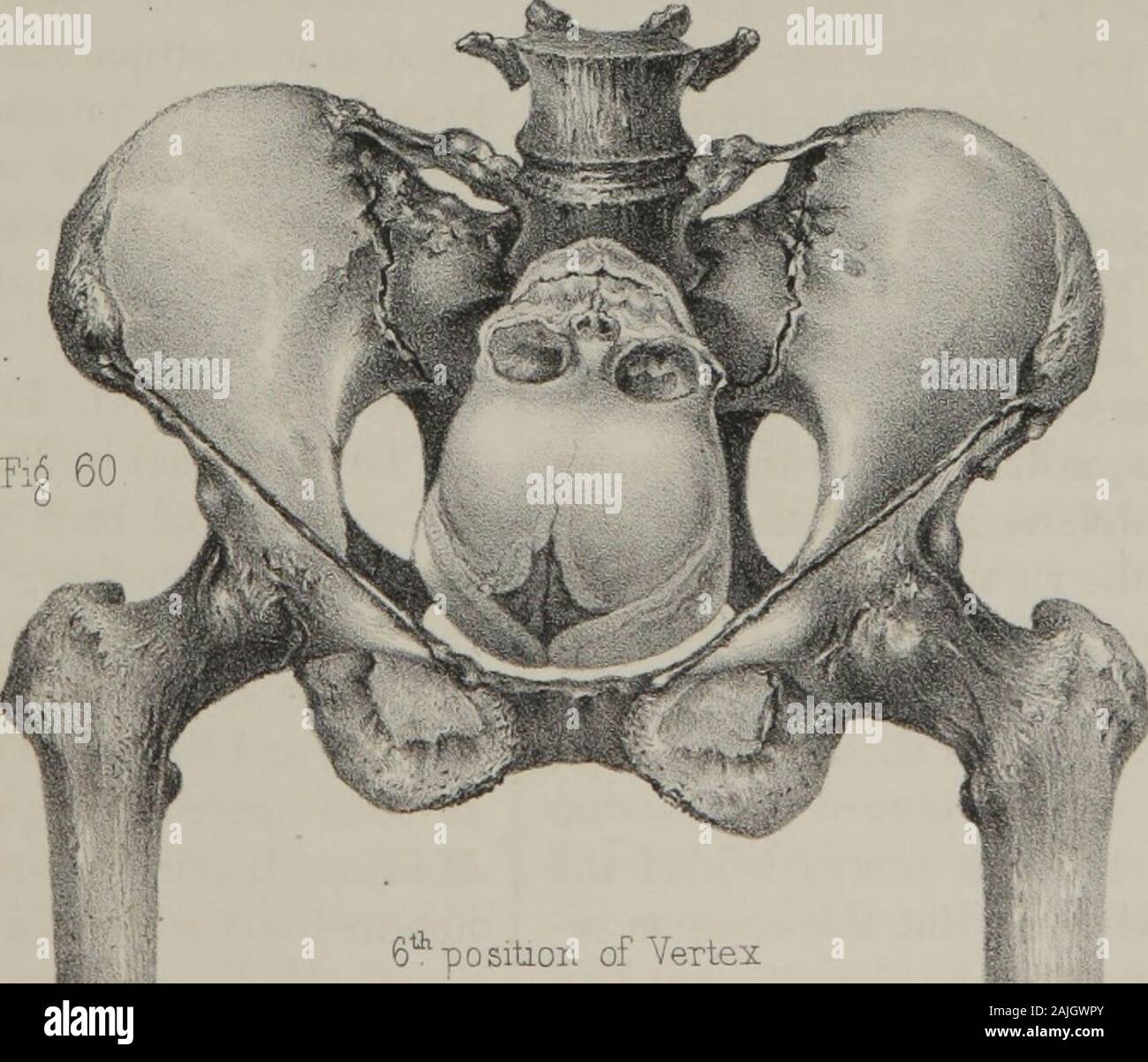 Thepromontory hi-res stock photography and images - Alamy