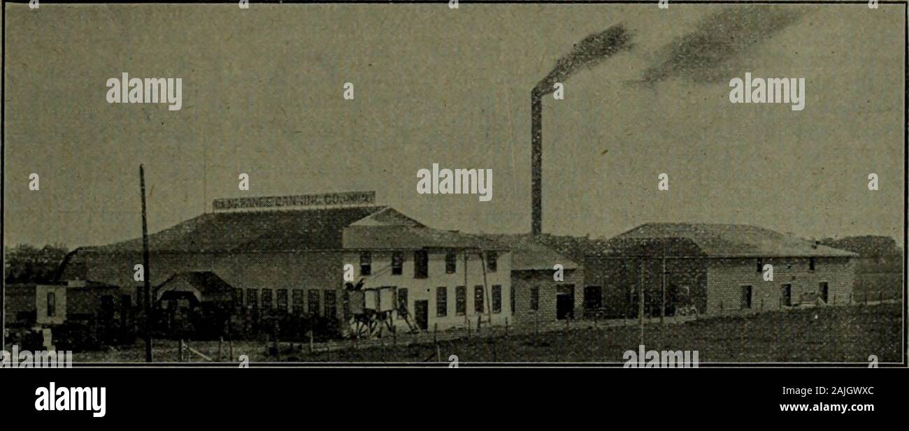 Gold dust twins hi-res stock photography and images - Alamy