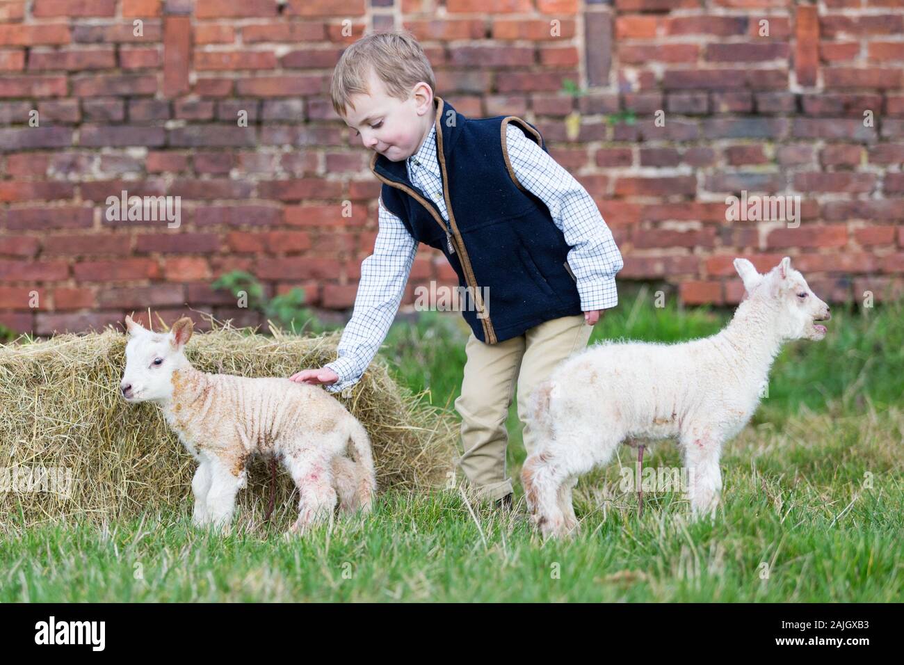 Boy child england uk hi-res stock photography and images - Alamy
