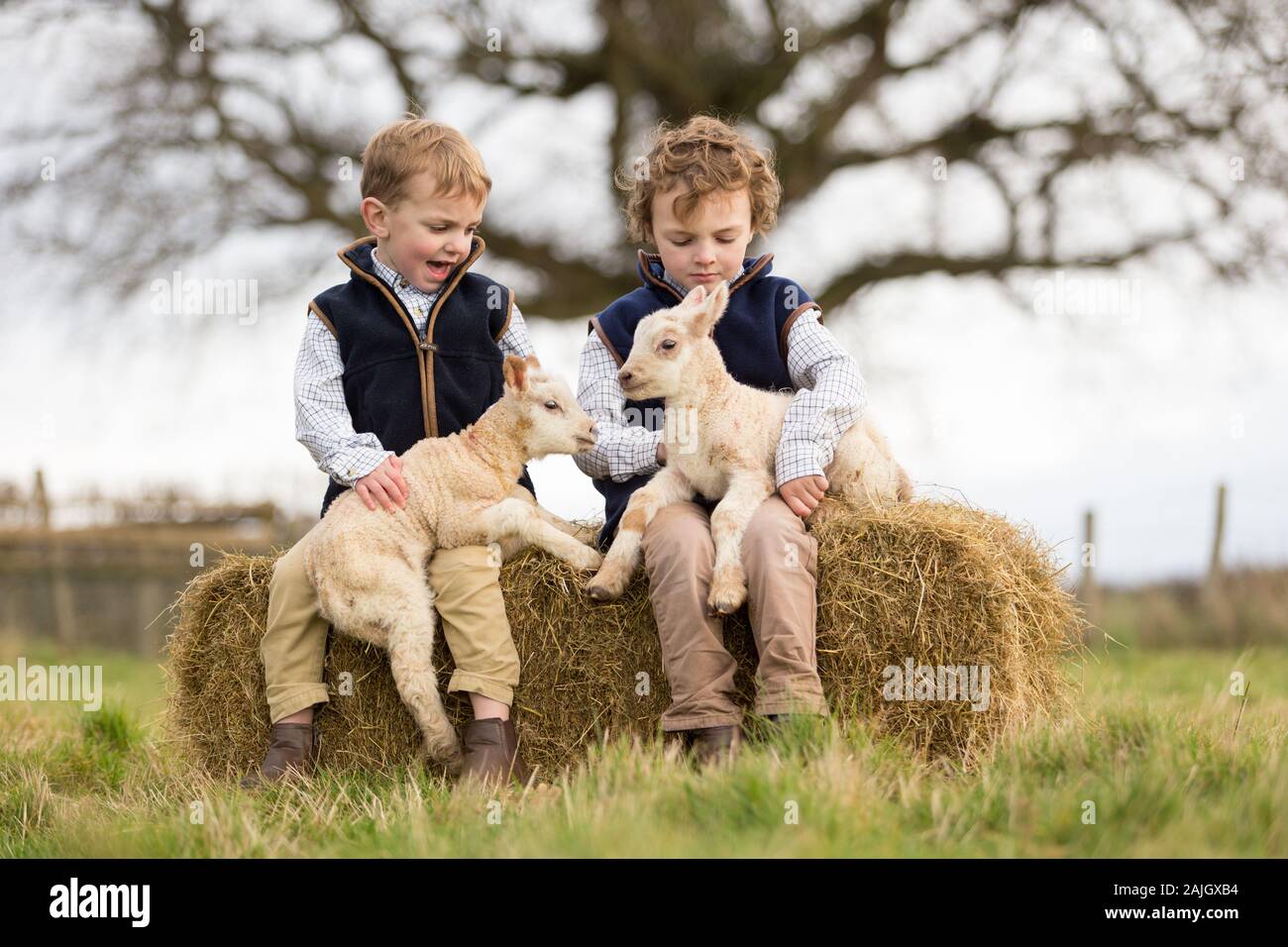 Boys farming hi-res stock photography and images - Alamy
