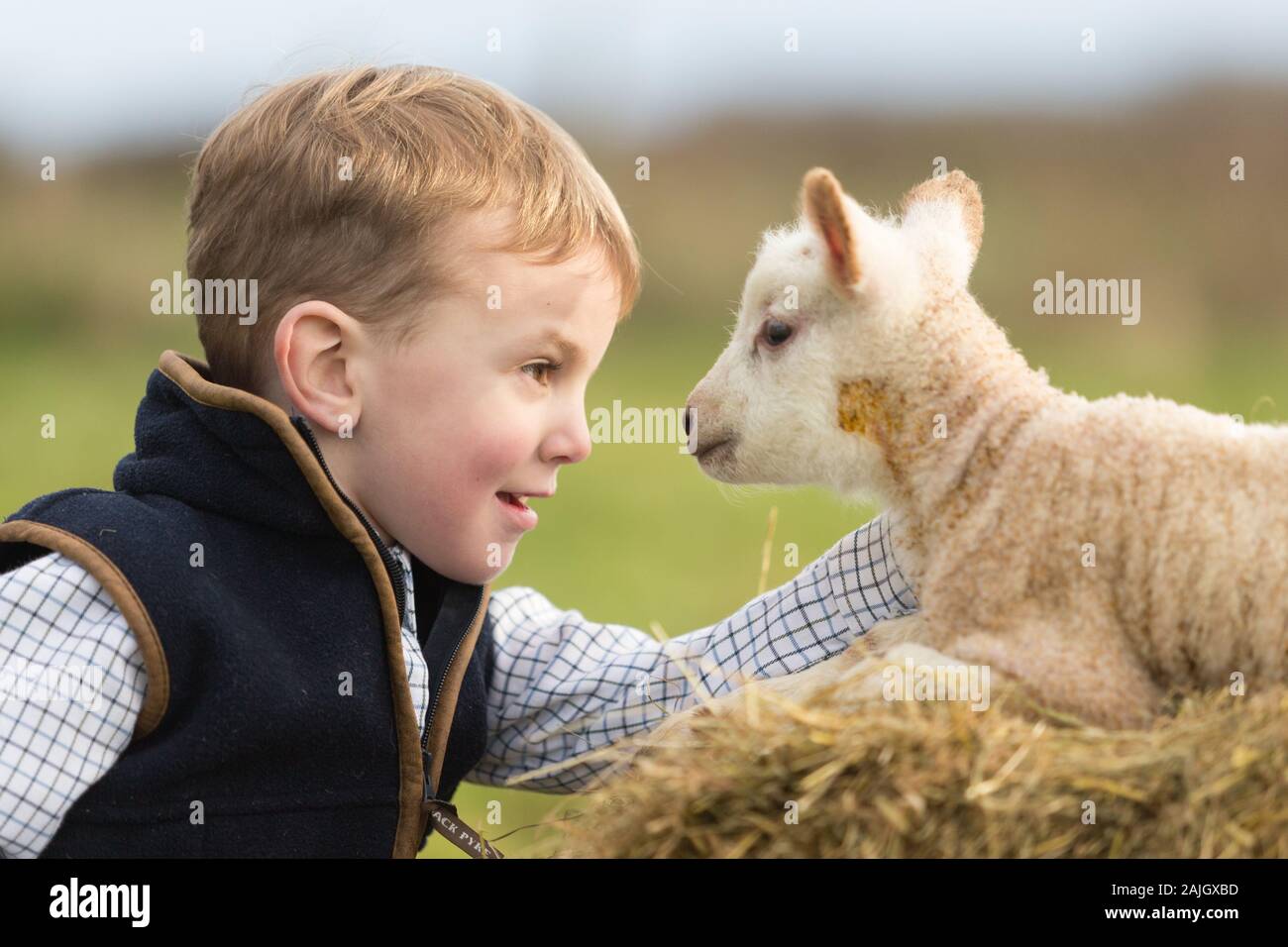 Boy farming hi-res stock photography and images - Alamy