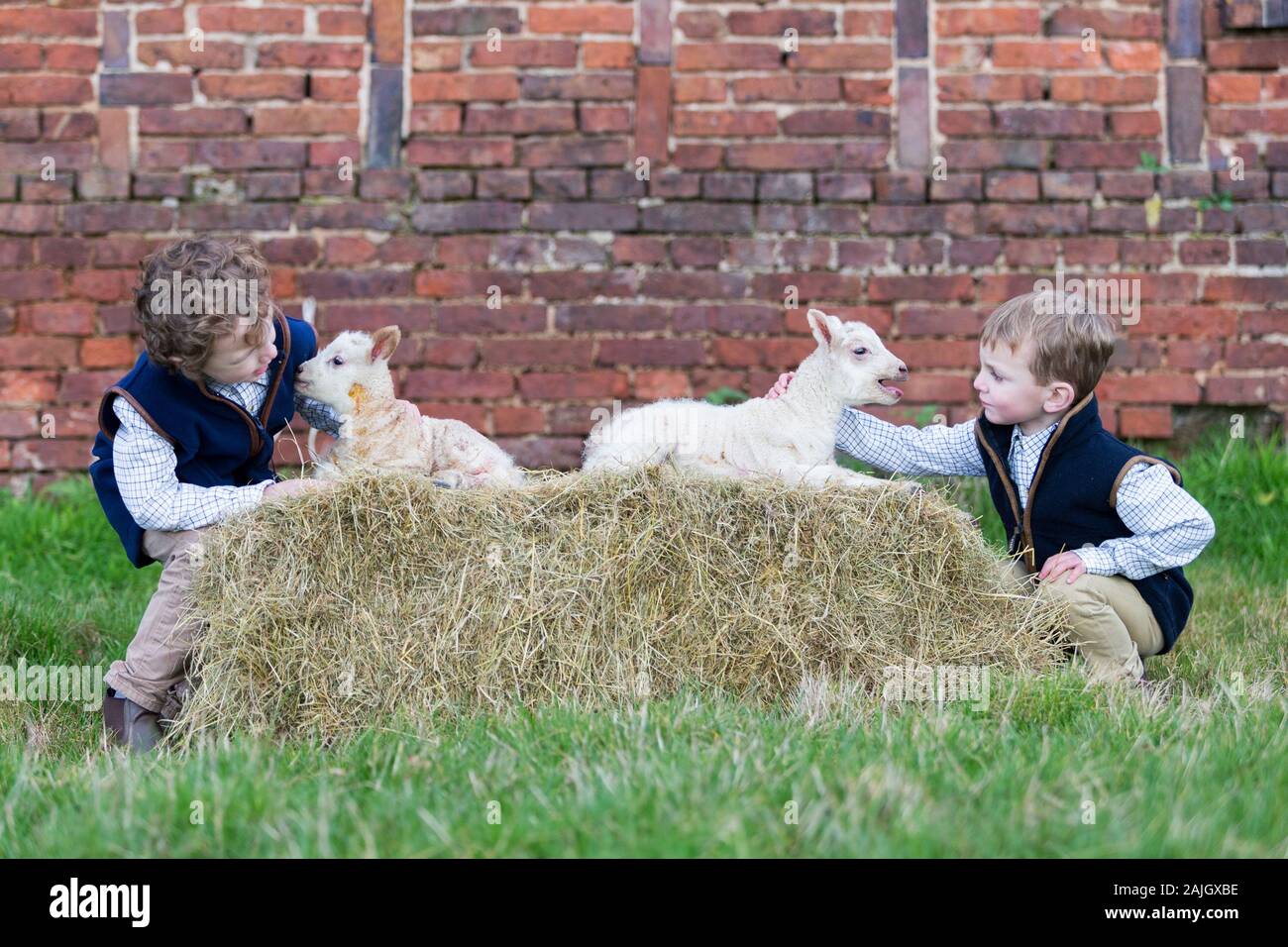 Children farming uk hi-res stock photography and images - Alamy