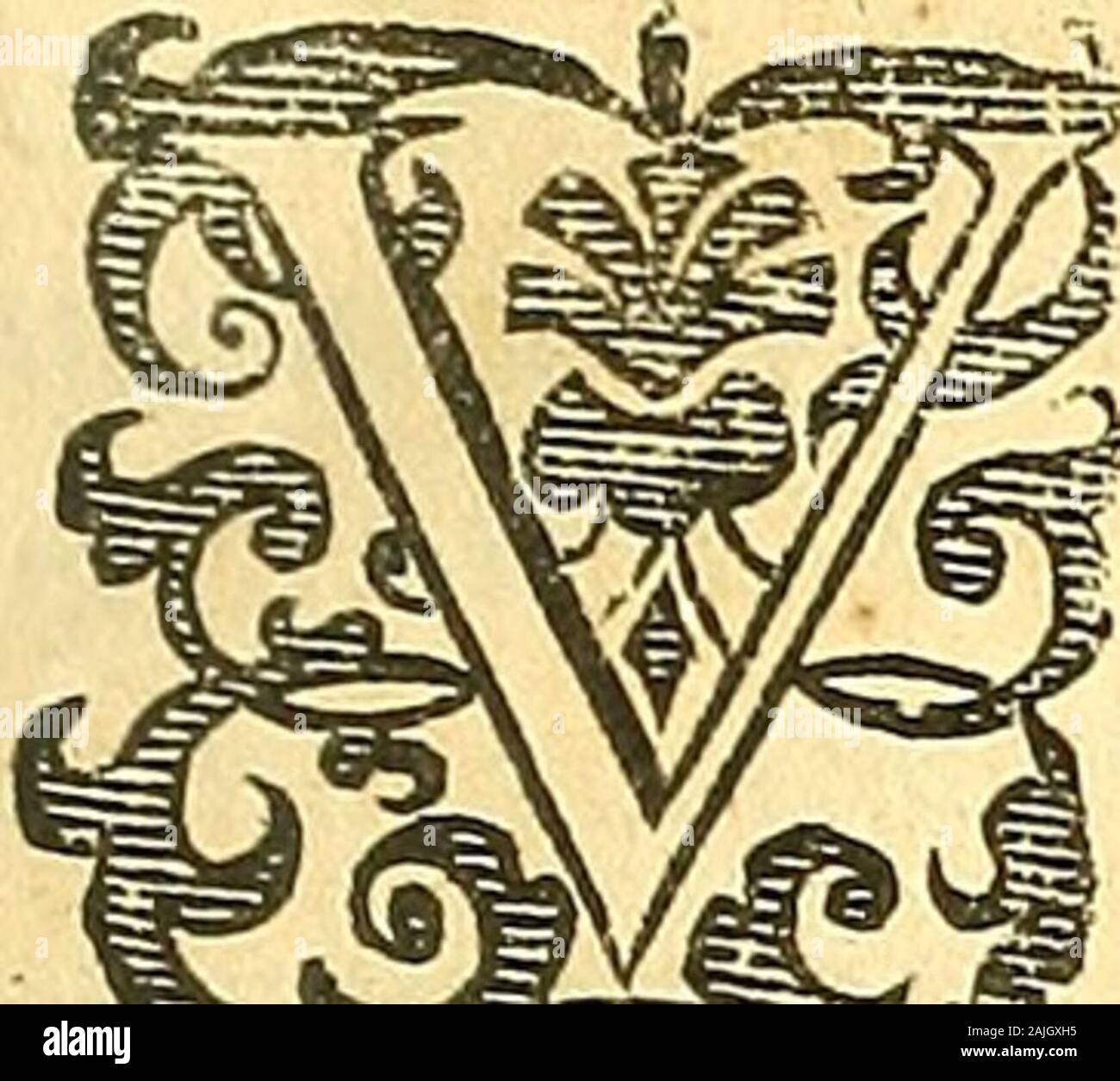 Credenda hi-res stock photography and images - Alamy