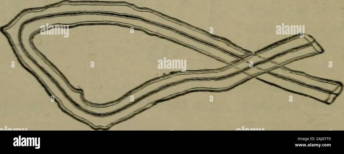The dyeing of textile fabrics . Fig. 14.—Section of Silk-bag.. Pig. 15 ...