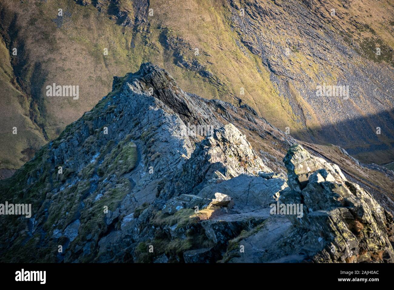 Sharp Edge on Blencathra in the Lake District Stock Photo - Alamy