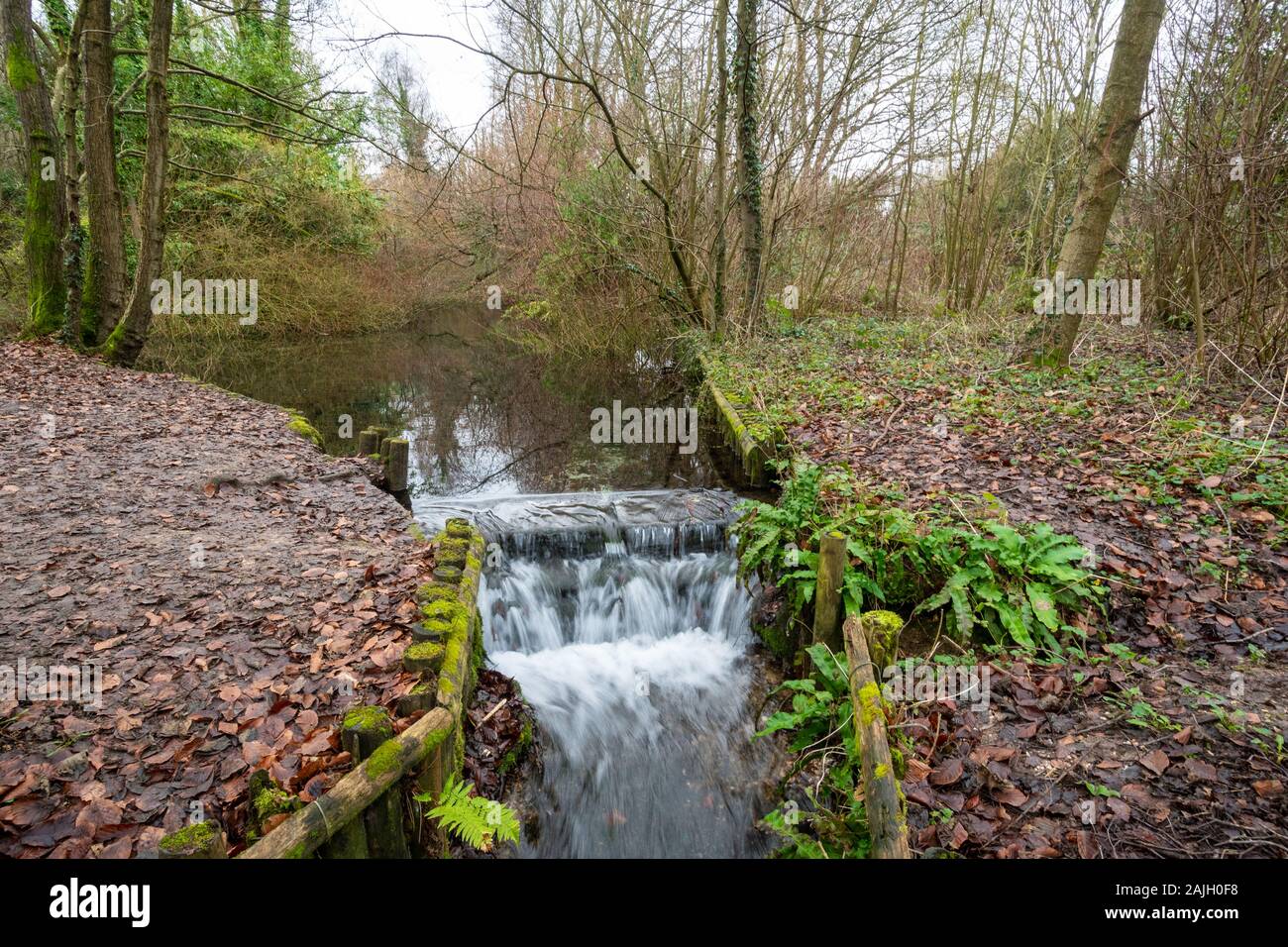 Uk ponds hi-res stock photography and images - Alamy