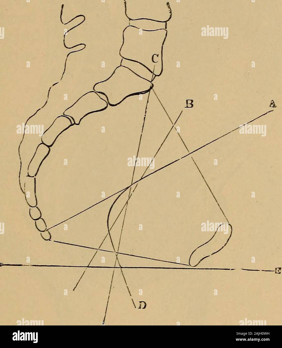 Perpendicular axes hi-res stock photography and images - Alamy