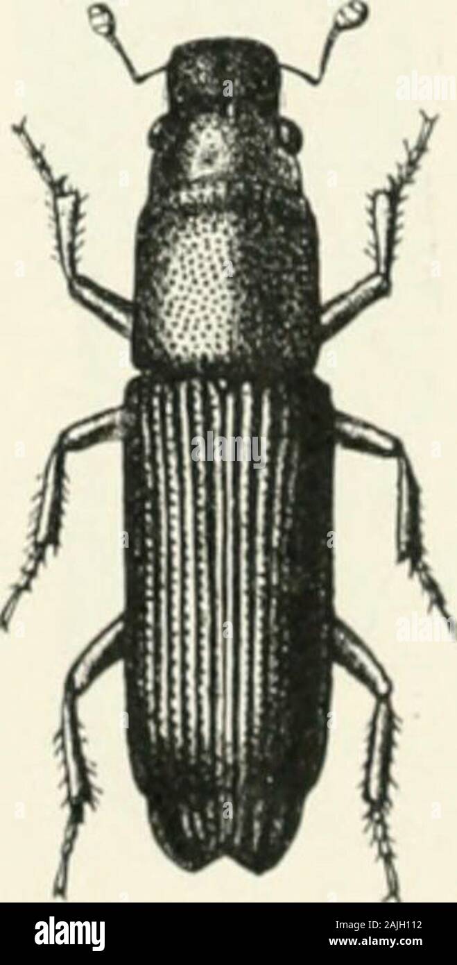 Long iland hi-res stock photography and images - Alamy