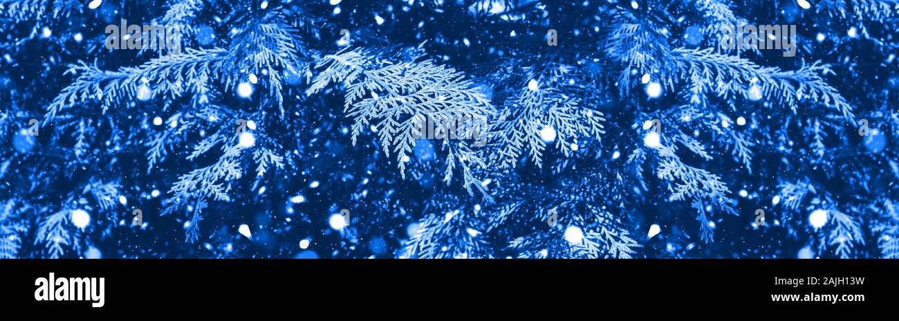 Classic blue color botanical tree background banner Stock Photo - Alamy