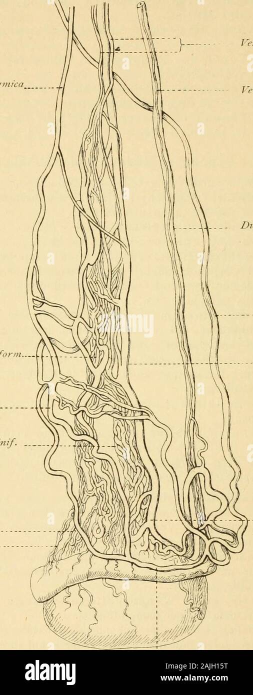 Nach_oben hi-res stock photography and images - Alamy