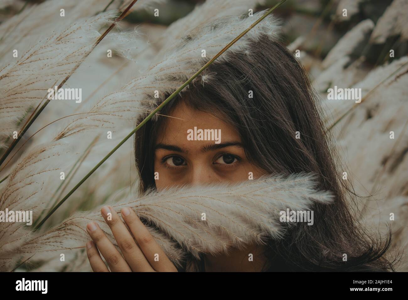 Peek through hi-res stock photography and images - Alamy