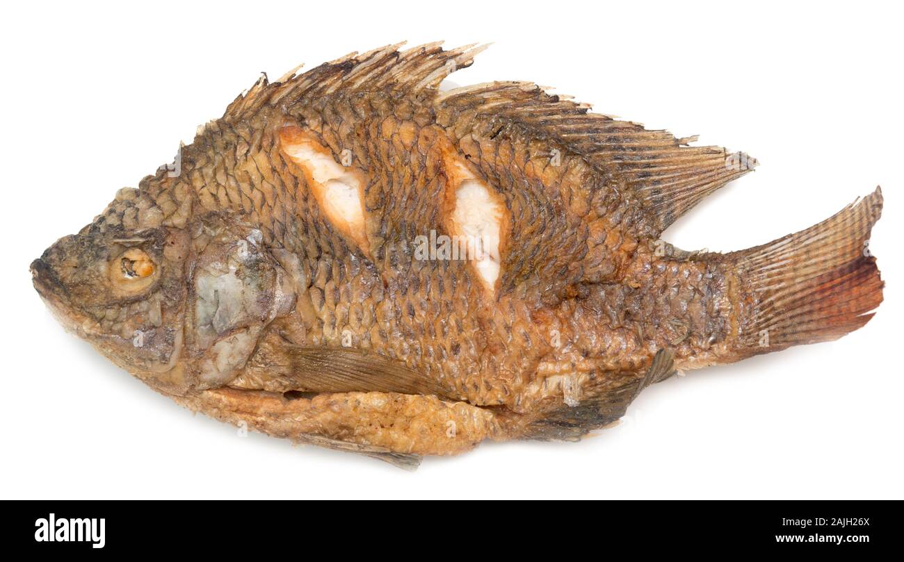 Fried fish isolated on white background Stock Photo - Alamy