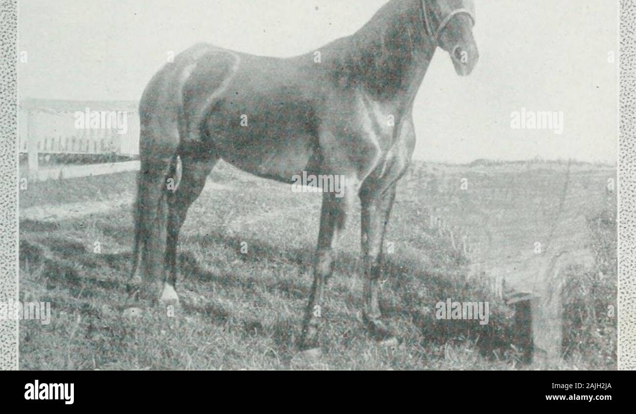 Official history of the Cornwall Cheese and Butter Board . d settled ...