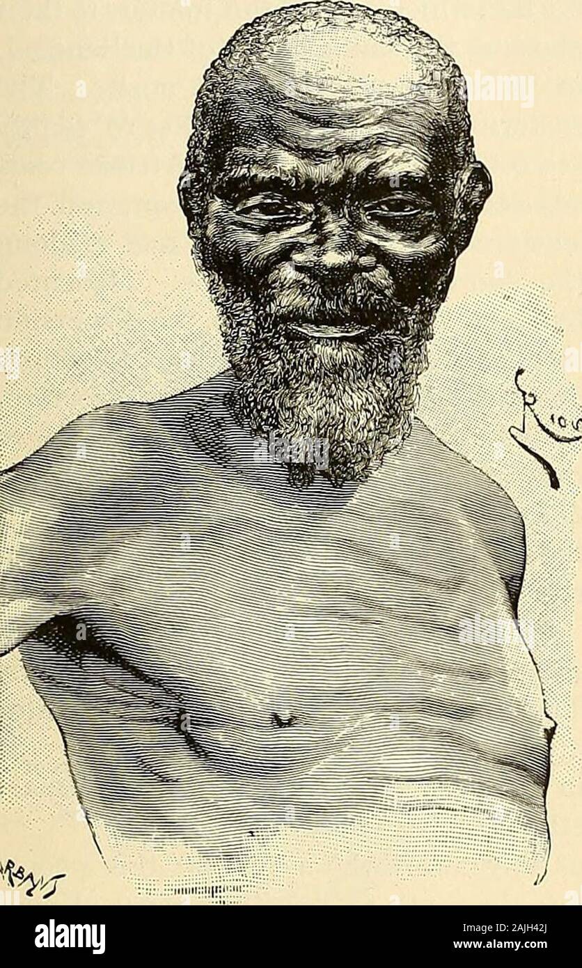 Whitenile hi-res stock photography and images - Alamy