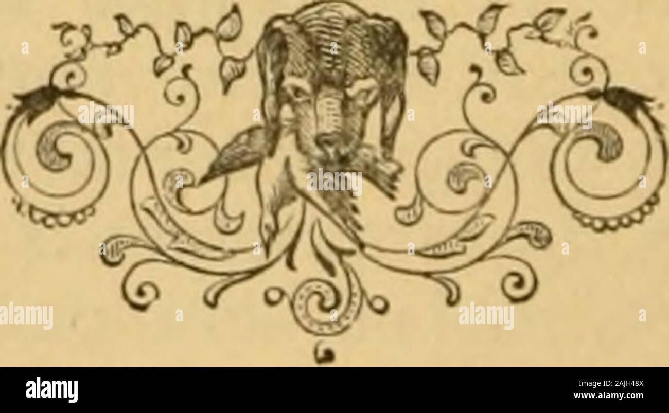 Adaring hi-res stock photography and images - Alamy