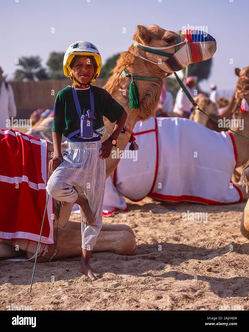 Young boys having fun at one of Dubai's famous camel races Stock Photo ...