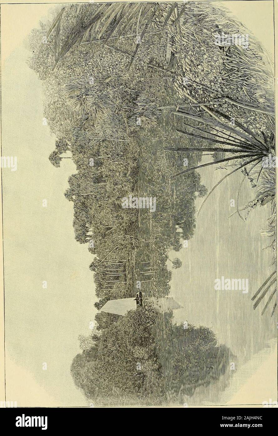 Ys word hi-res stock photography and images - Alamy