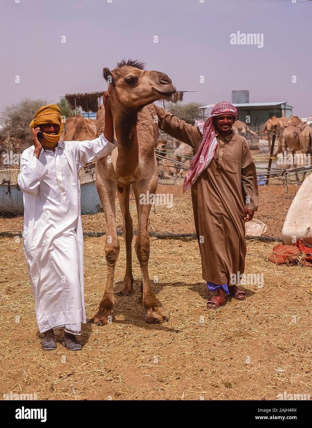 Doing everyday things hi-res stock photography and images - Alamy