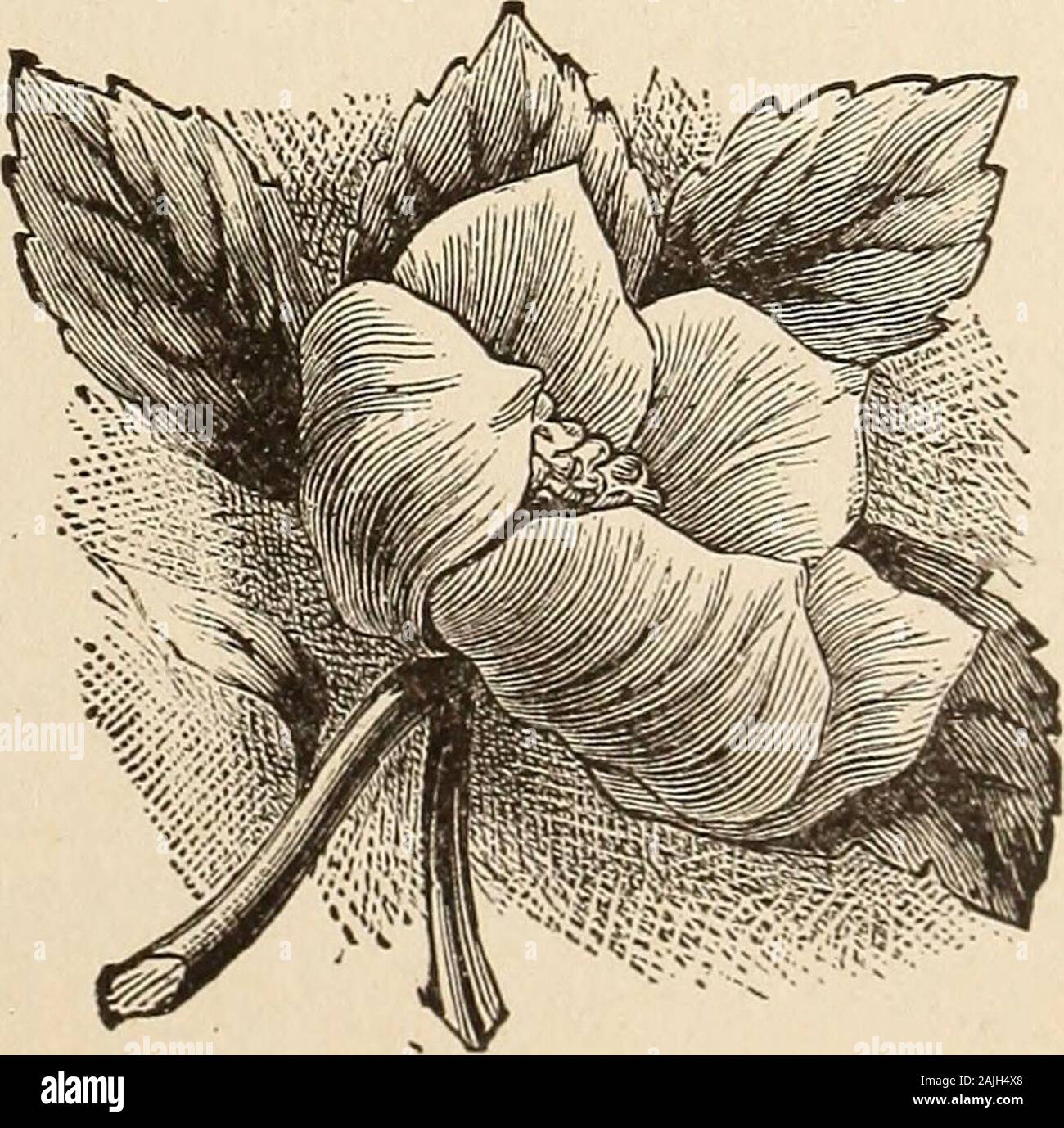 Booksubjectetiquette hi-res stock photography and images - Alamy