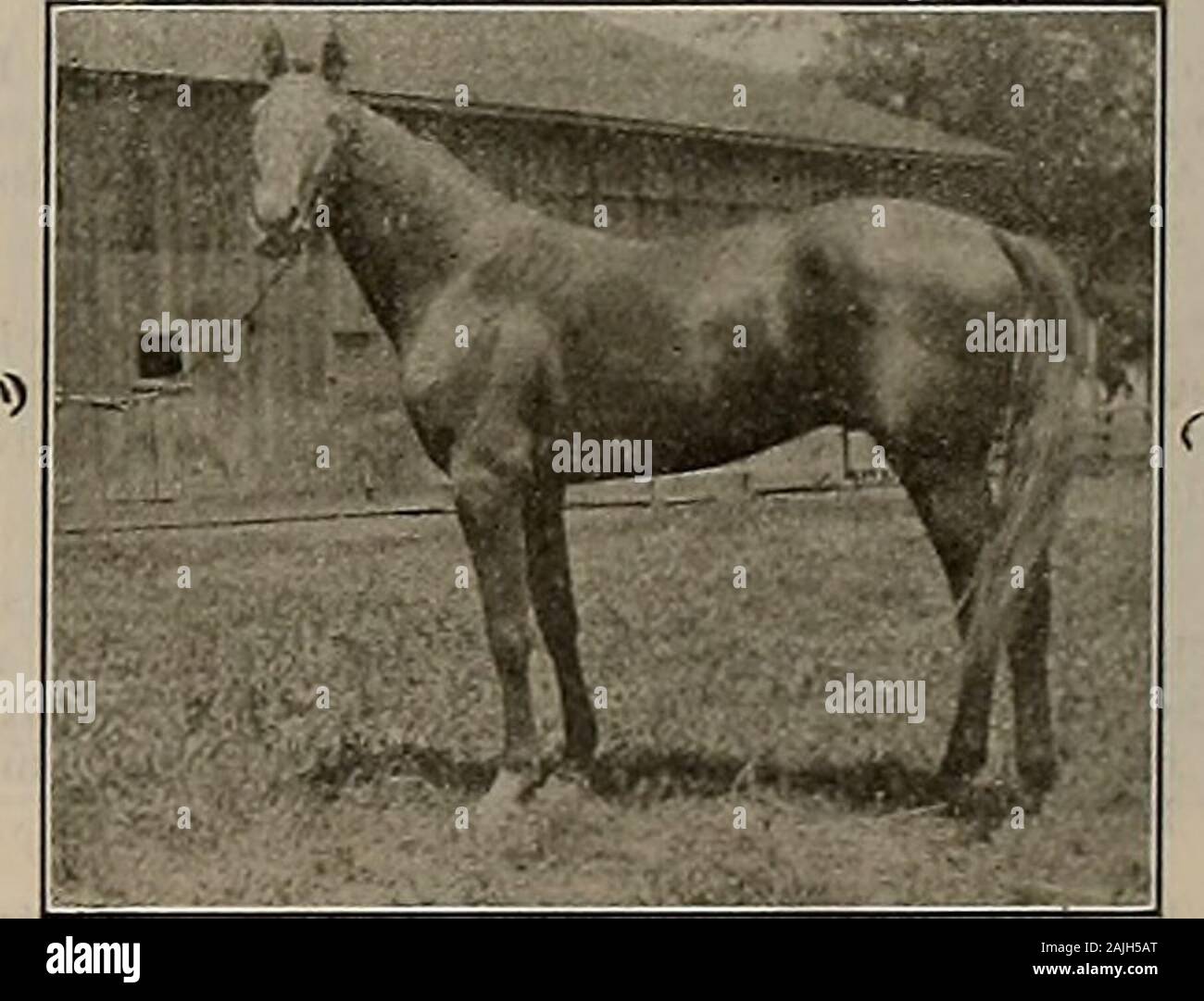 Elsie dam hi-res stock photography and images - Alamy