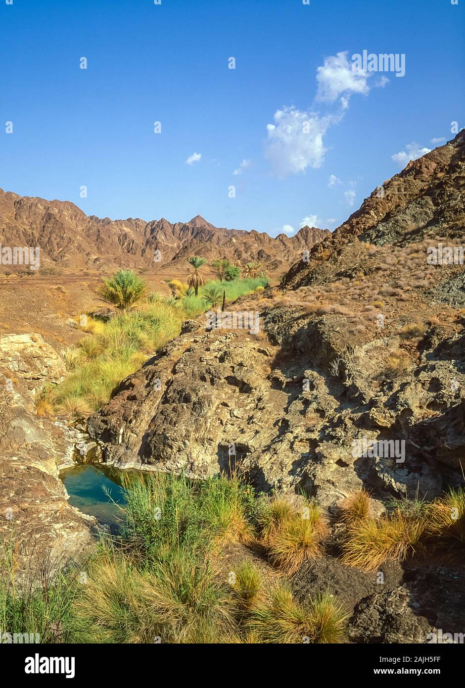 Arabian themed calendars hi-res stock photography and images - Alamy