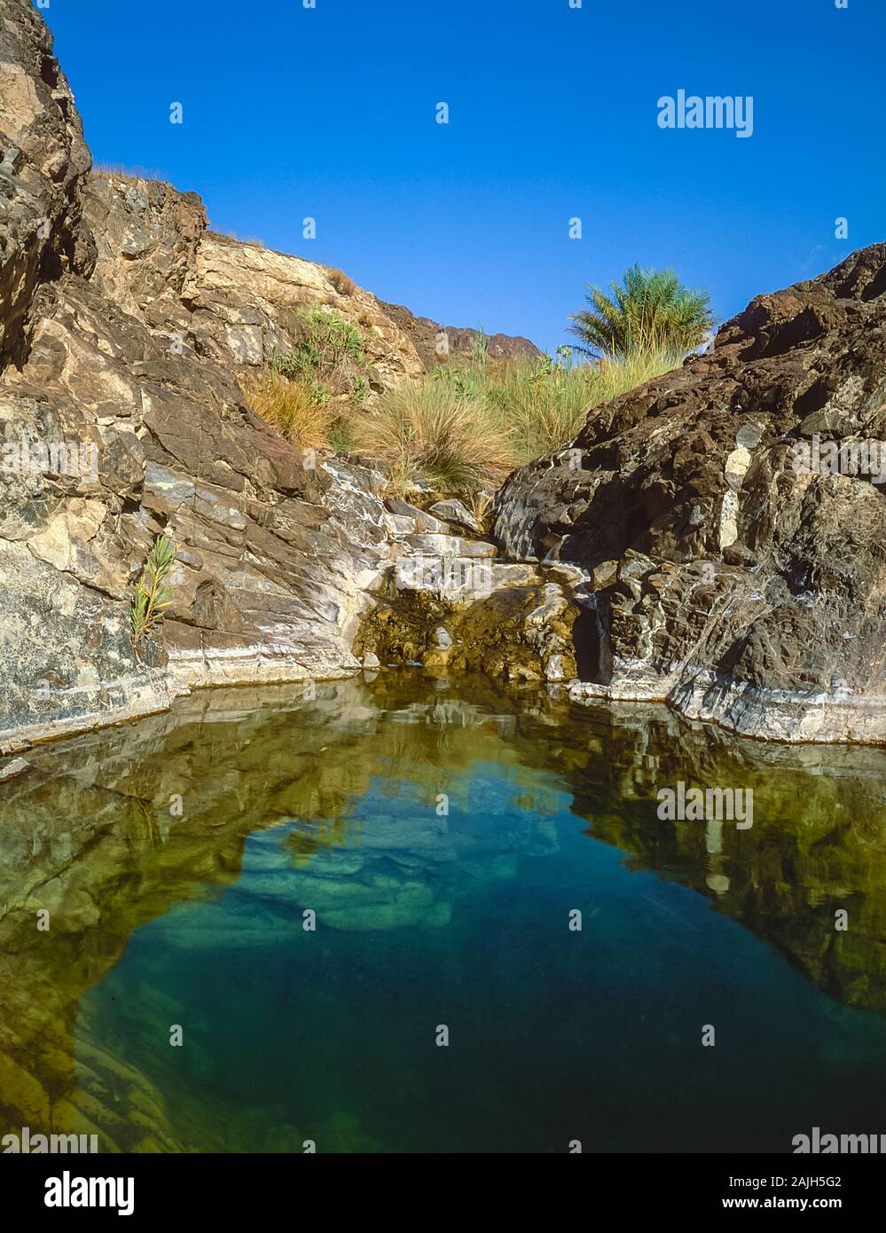 Mountain spring water brings to life greenery in the rugged scenery of ...