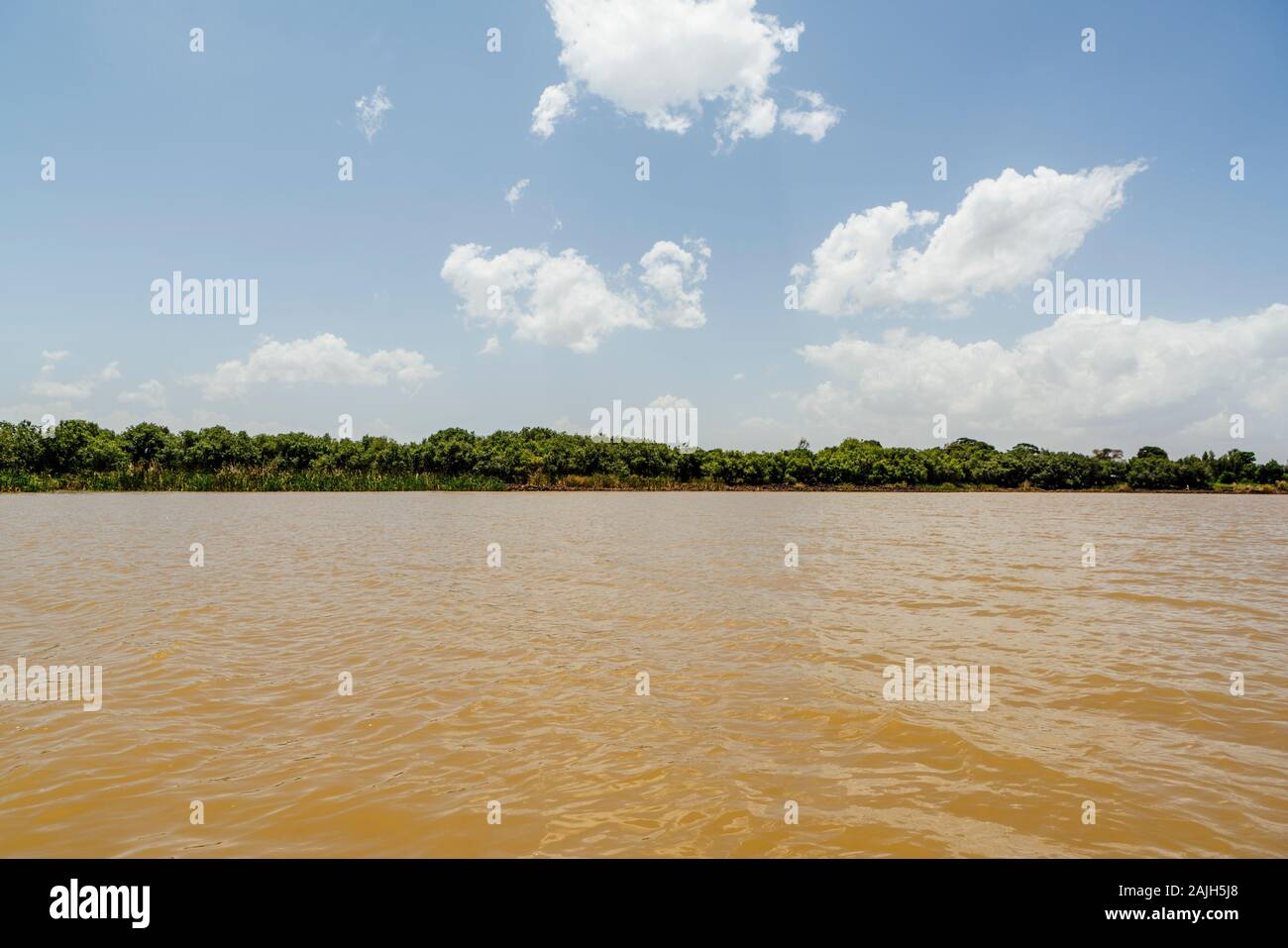 Lake Tana, the largest lake in Ethiopia Stock Photo - Alamy