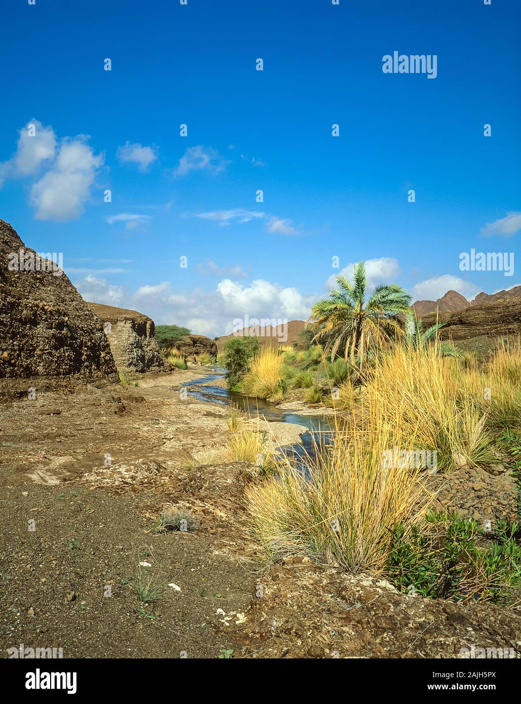 Mountain spring water brings to life greenery in the rugged scenery of ...