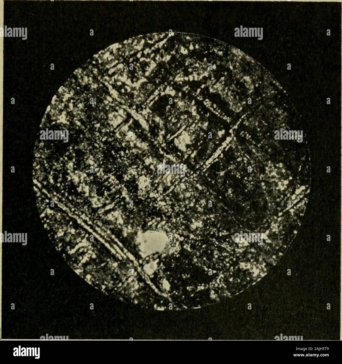 Pycnometer hi-res stock photography and images - Alamy