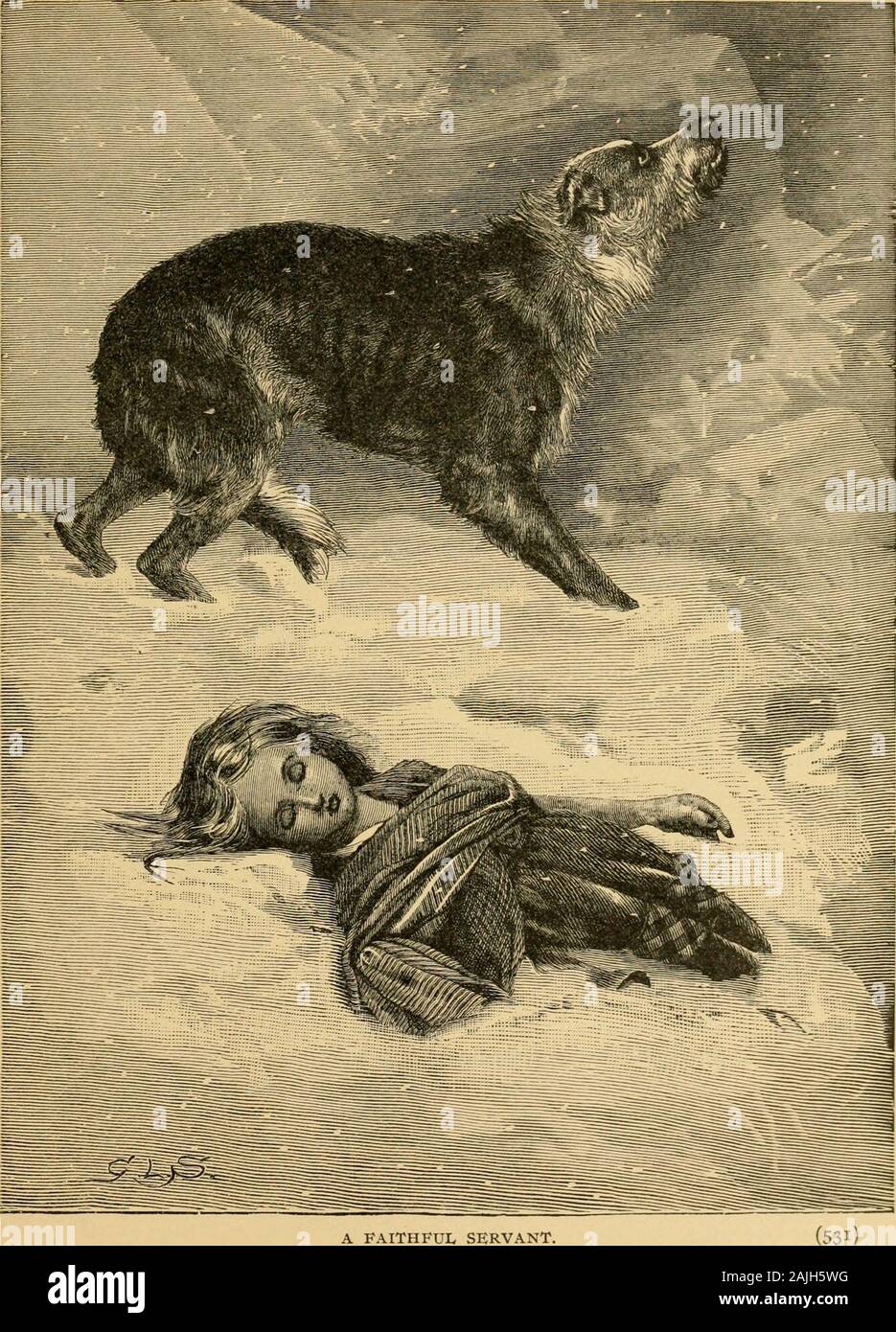 Madame guillotine hi-res stock photography and images - Alamy