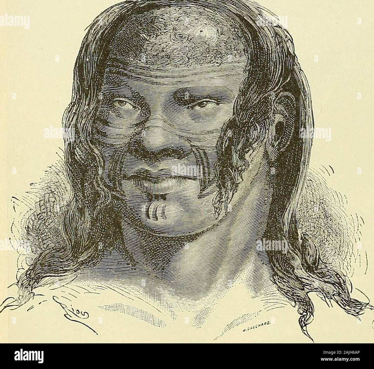 Boothia hi-res stock photography and images - Alamy