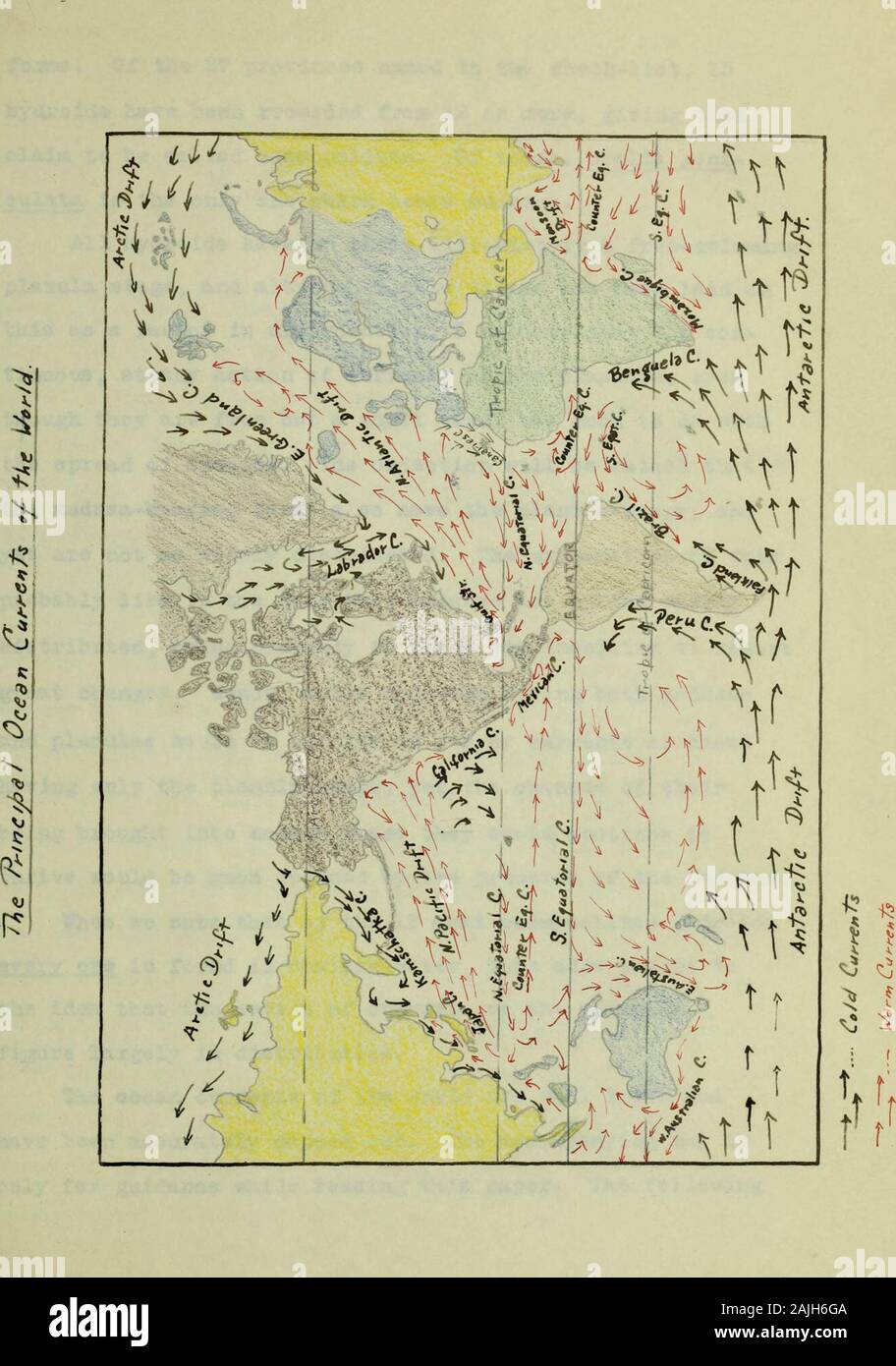 "The geographical and bathymetrical distribution of the hydroids." . to ...