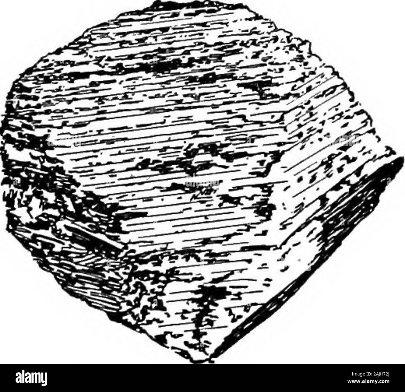 Iolet Black and White Stock Photos & Images - Alamy