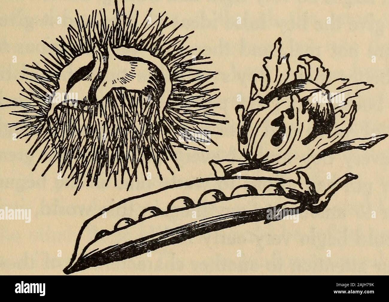 Oneth day hi-res stock photography and images - Alamy