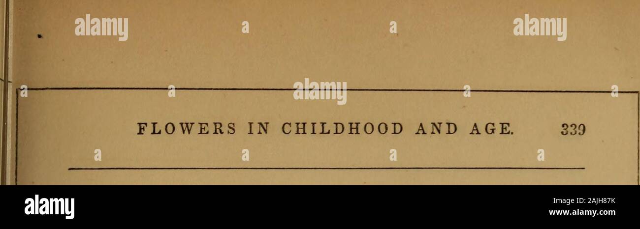 Empty larder hi-res stock photography and images - Alamy