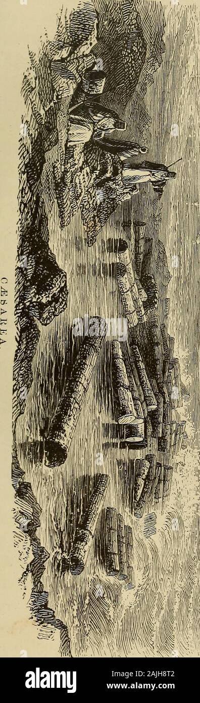 Sabellius hi-res stock photography and images - Alamy