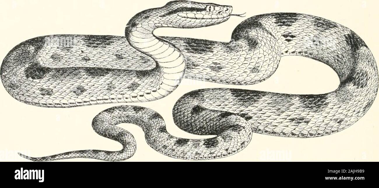 Hahitat hi-res stock photography and images - Alamy