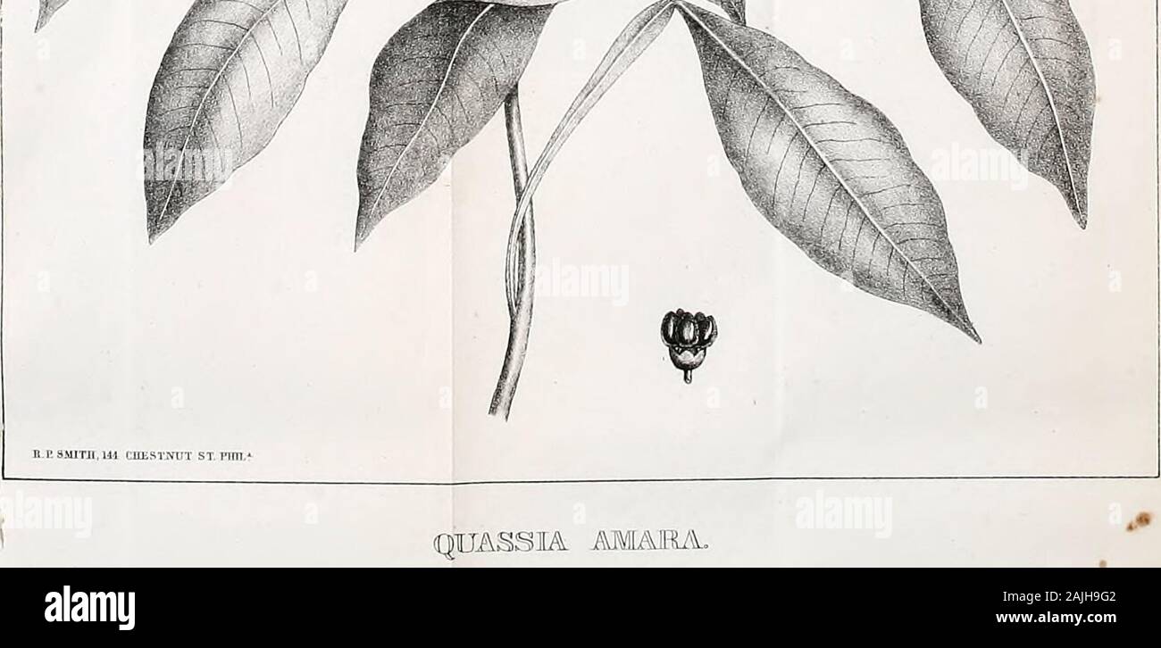 Twisted Aestivation High Resolution Stock Photography and Images - Alamy