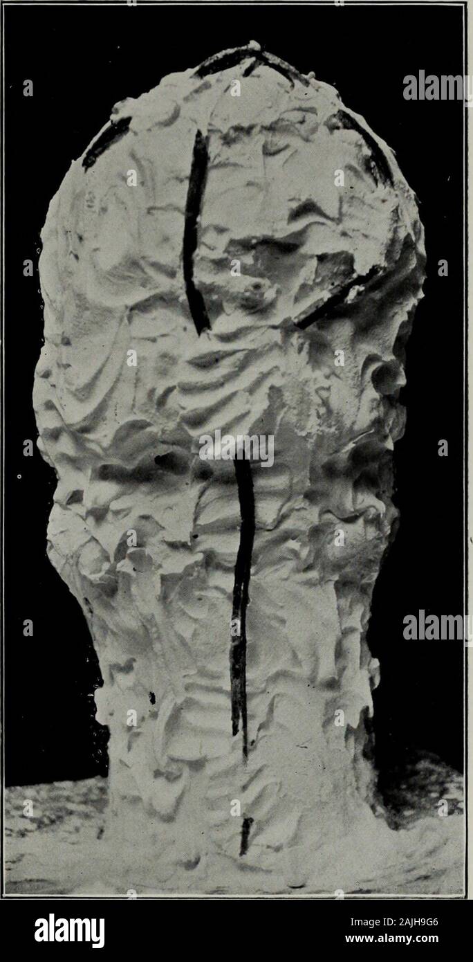 Modelling; a guide for teachers and students . [To/ace page 210. Fig ...
