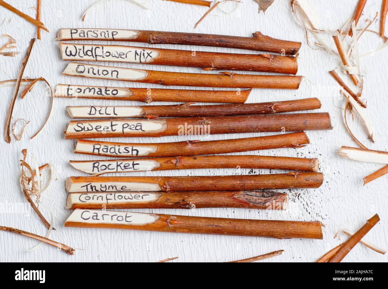 Cornus. Home made plant labels fashioned from dogwood twigs. UK Stock ...