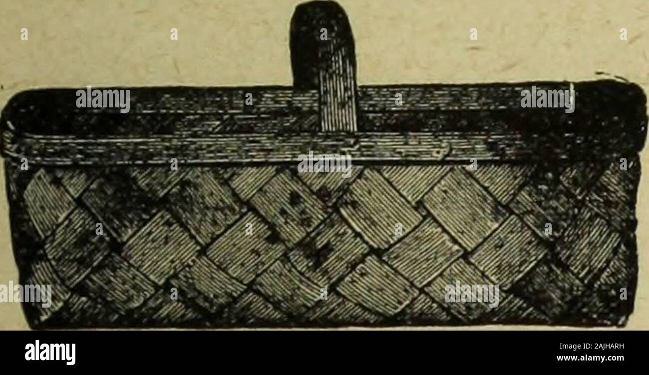 Beef sinew hi-res stock photography and images - Alamy