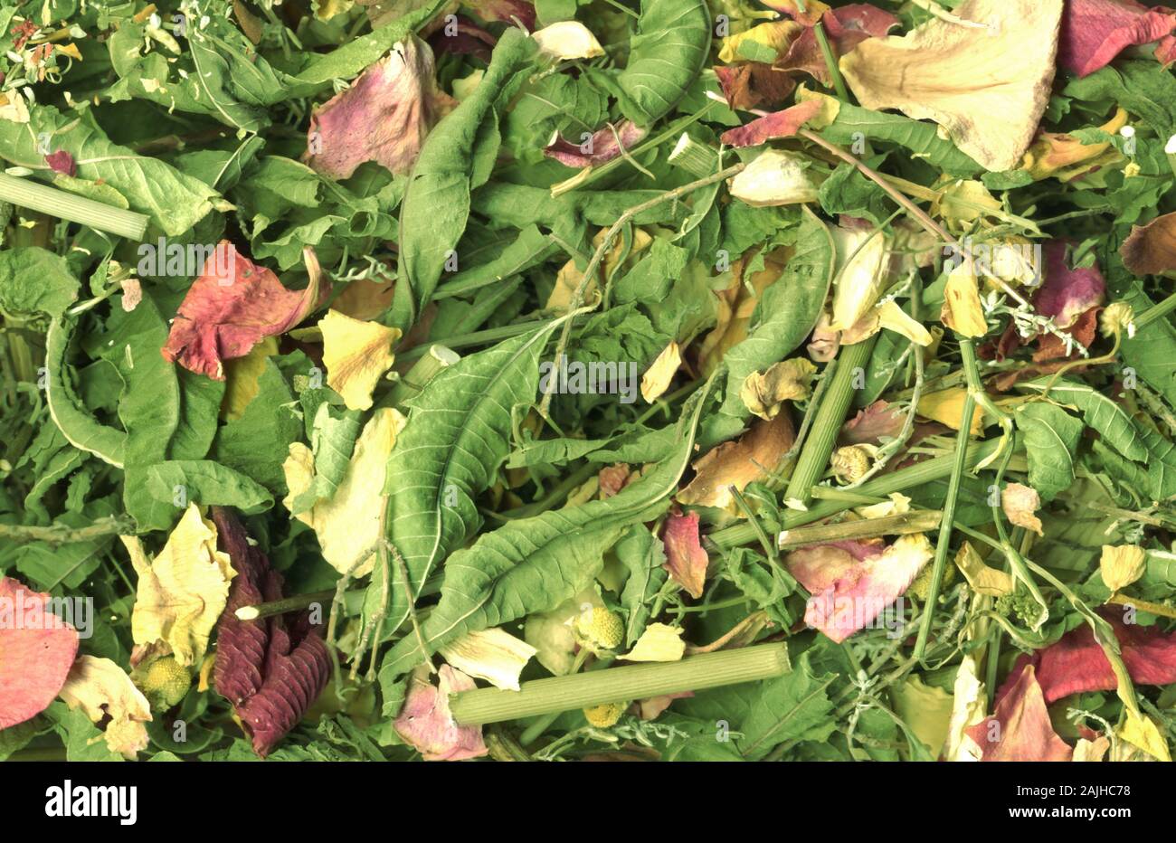 Mix tea with dried flowers Stock Photo - Alamy