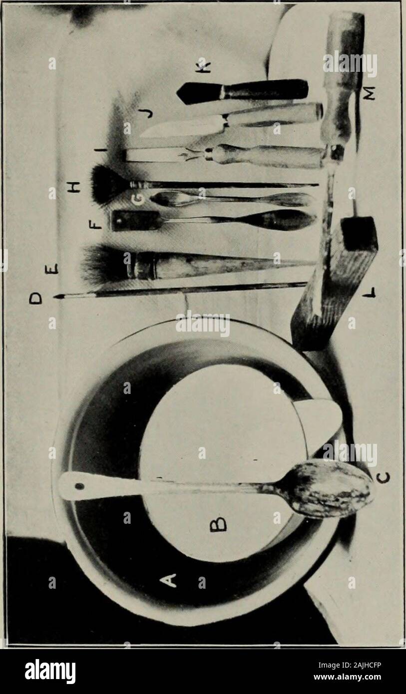 Modelling; a guide for teachers and students . CALCANEUM Fig. 147.—Hind ...