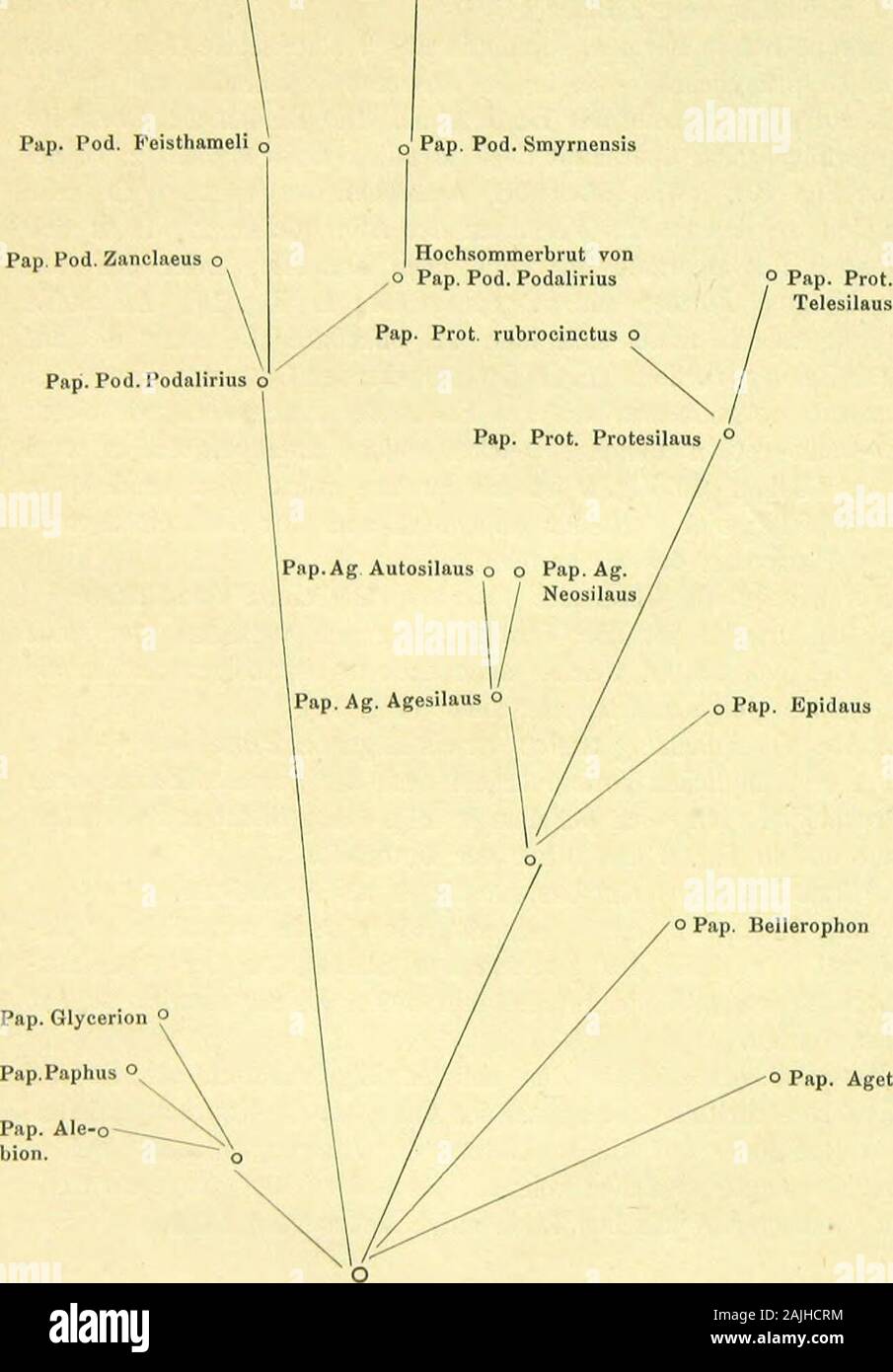 Abarten hi-res stock photography and images - Alamy